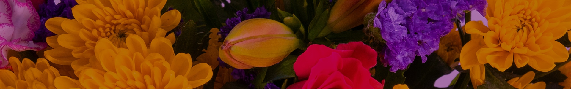 Navratri 2020: Significance and History of Navratri : La Fleur